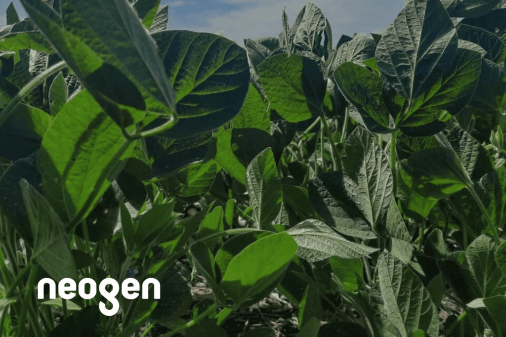 Neogen Semillas – Un nuevo horizonte en semillas